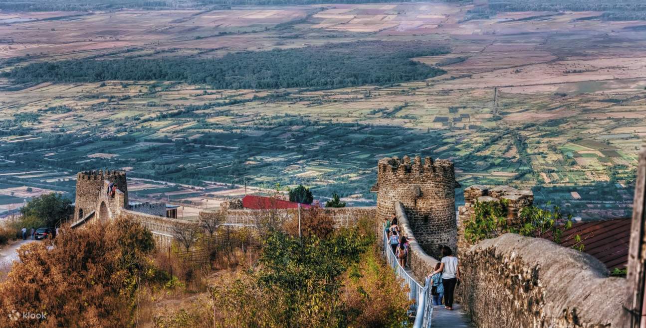 Tbilisi: Kakheti, Signaghi, & Chateau Tour with Wine Tasting - Klook India