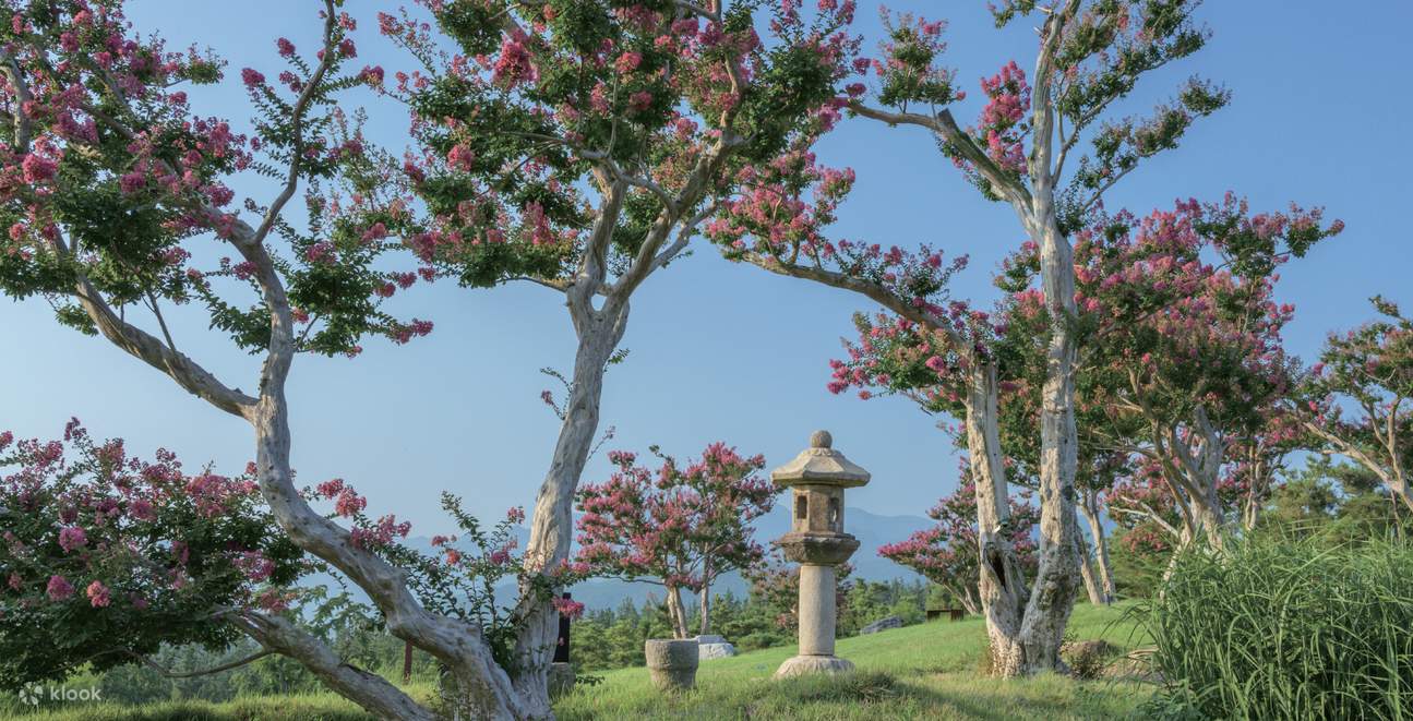 Daegu Sayuwon Arboretum Ticket - Klook