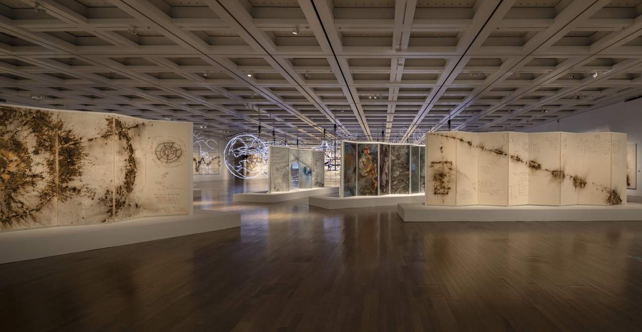 Cai Guo-Qiang: Ramble in the Cosmos - From Primeval Fireball Onward ...