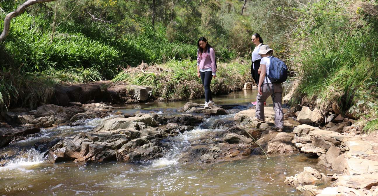 Morialta Conservation Park Hiking Experience with Vineyard Tour - Klook ...
