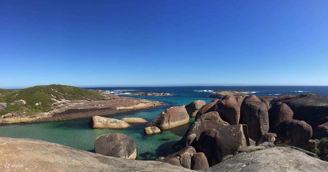 3 Day Wave Rock, Albany & Valley of the Giants Tour Tour - Klook