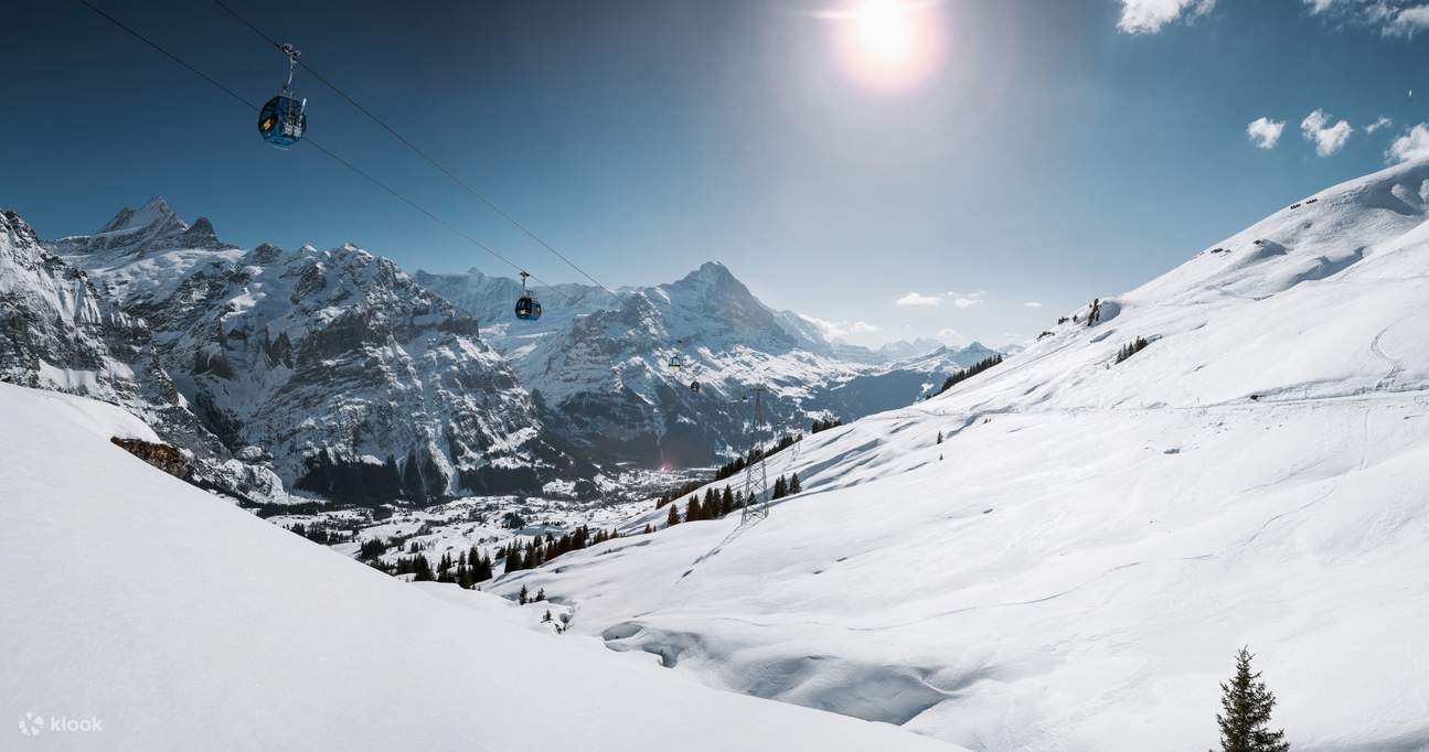 Berg- und Talfahrt mit der Firstbahn ab Grindelwald - Klook