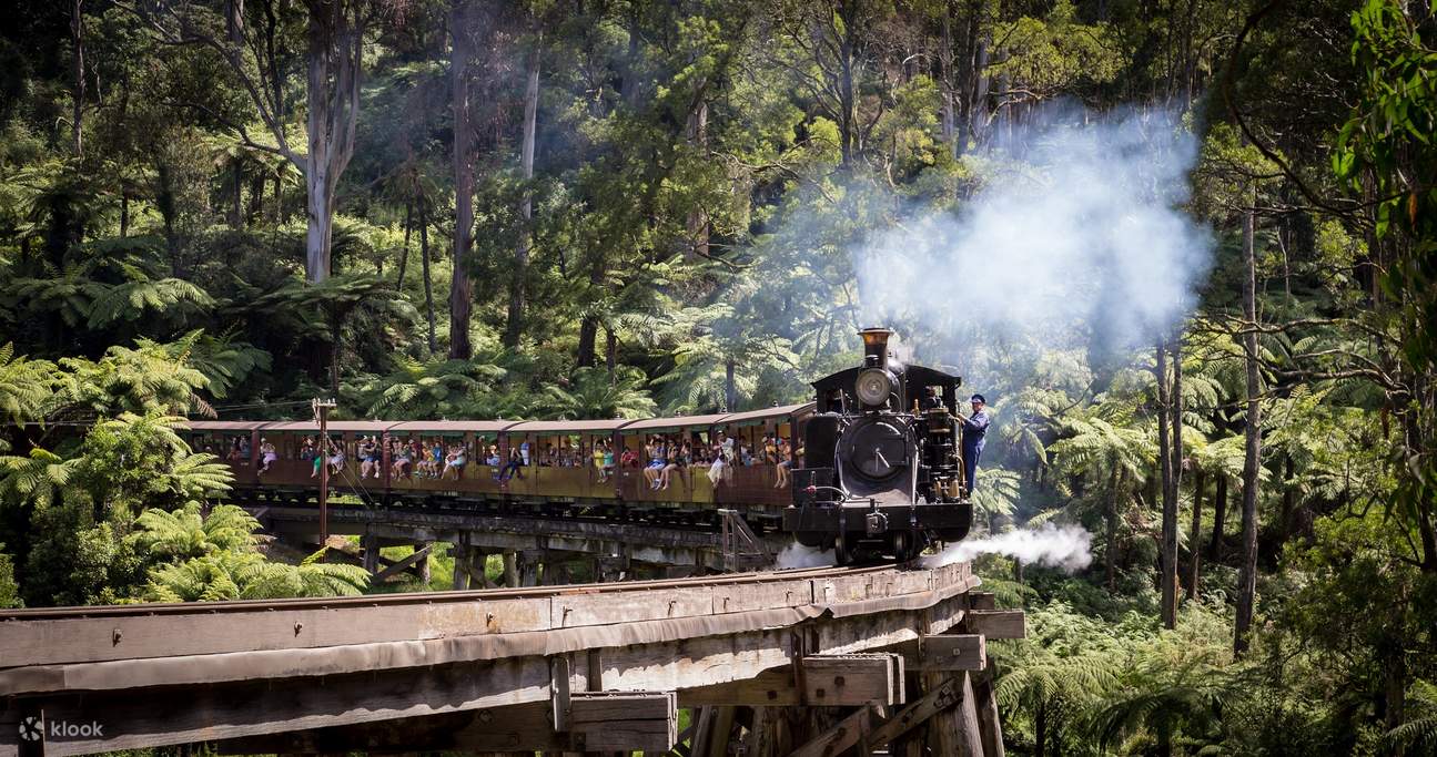 Puffing Billy Steam Train & Penguin Parade Day Tour - Klook Hong Kong
