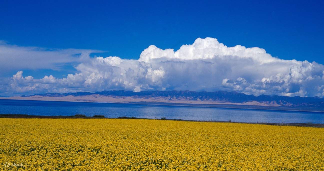 Xining Qinghai Lake Chaka Salt Lake Private Guided Day Tour - Klook ...