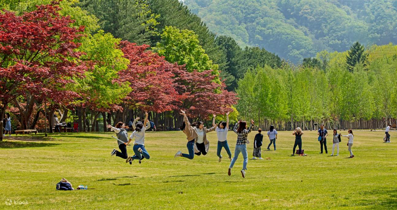 [Special Offer] Nami Island Admission with Restaurants & Activities ...