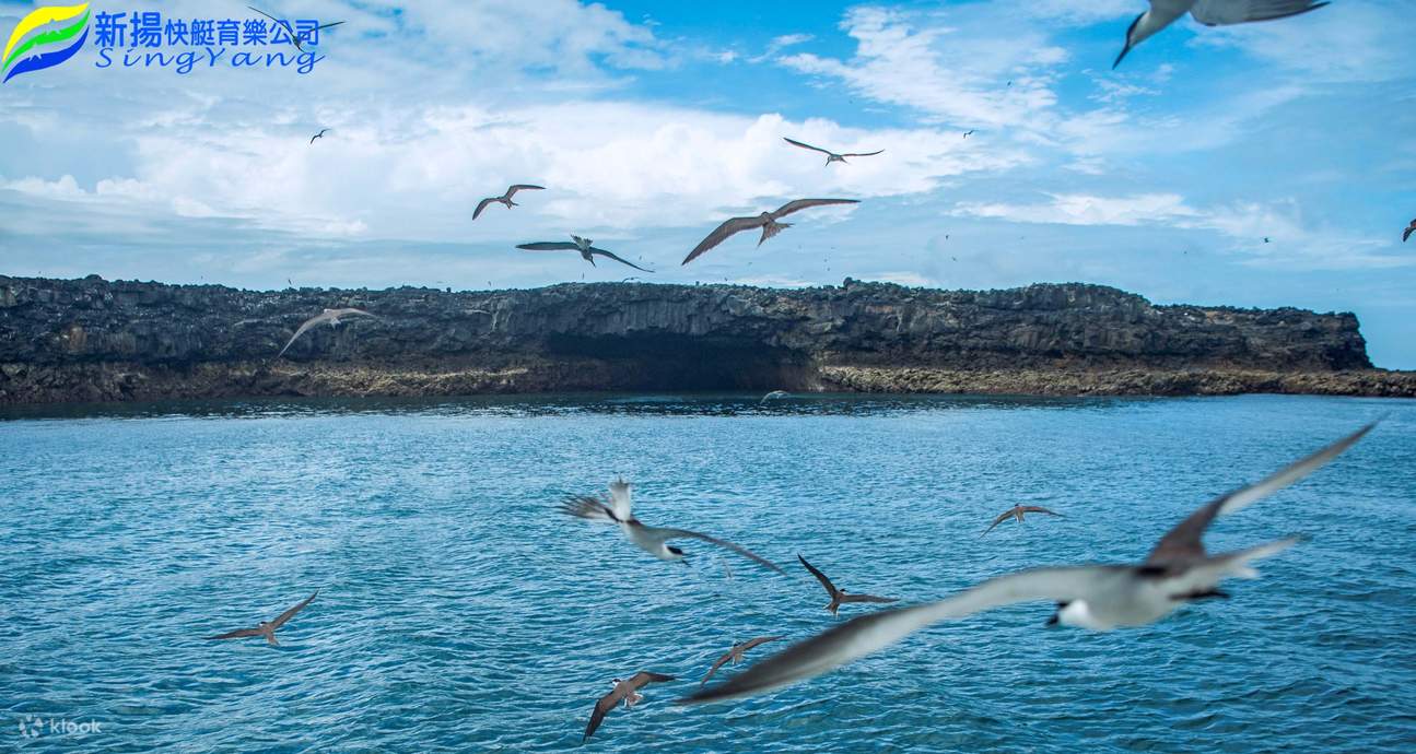 Inselhopping auf Penghu: Nördliche Tagestour – Kreuzfahrt zu den ...