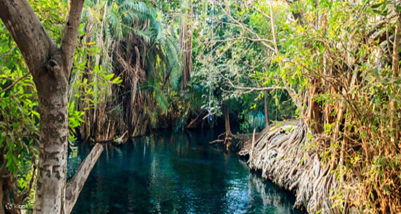 Private Chemka/Kikuletwa Hotsprings with Lunch & Drinks - Experience ...