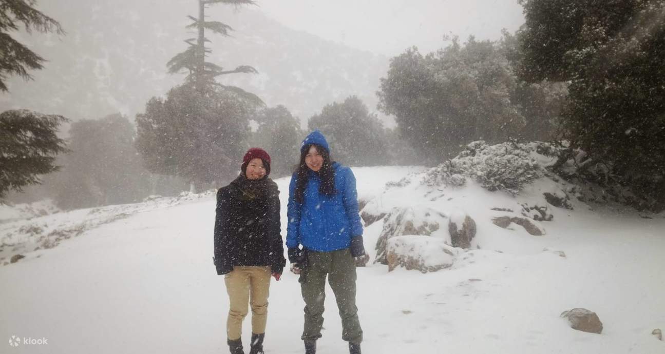 Exquisite Exploration: 5 Days Private Tour from Tangier to Casablanca - Klook