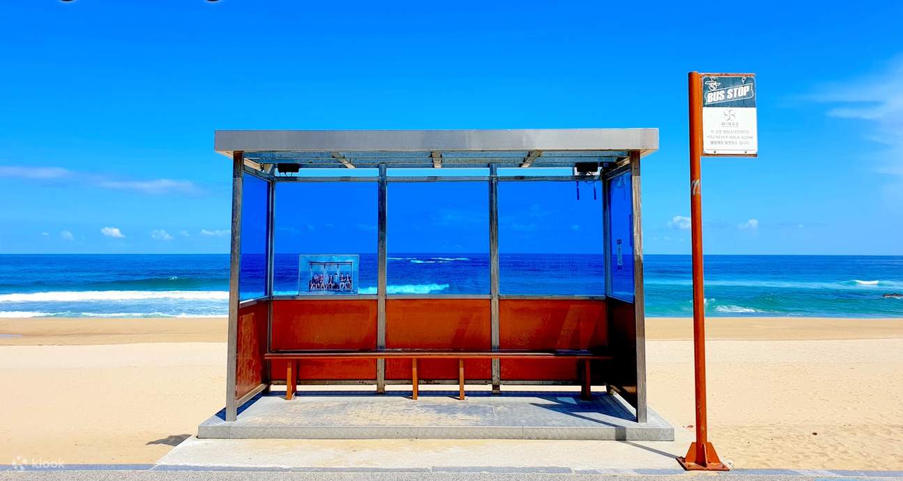 Gangwon-Do : Gangneung Private Day Tour - Klook India