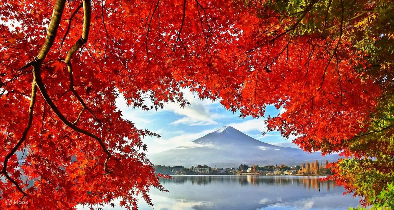 [Muslim-friendly | Mount Fuji Day Tour] Arakurayama Sengen Park + Fuji ...