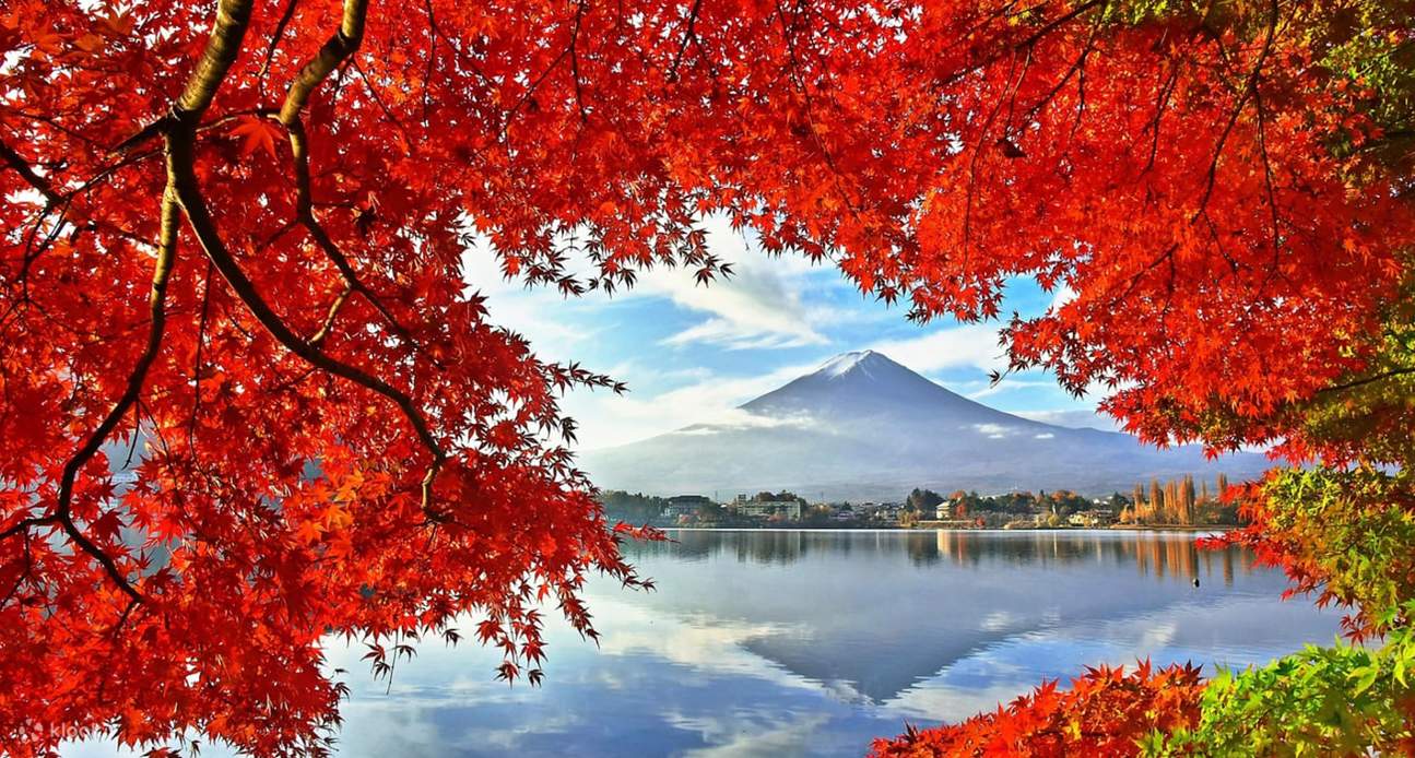 Excursión al Monte Fuji con experiencia de Matcha o Yamanakako y ...