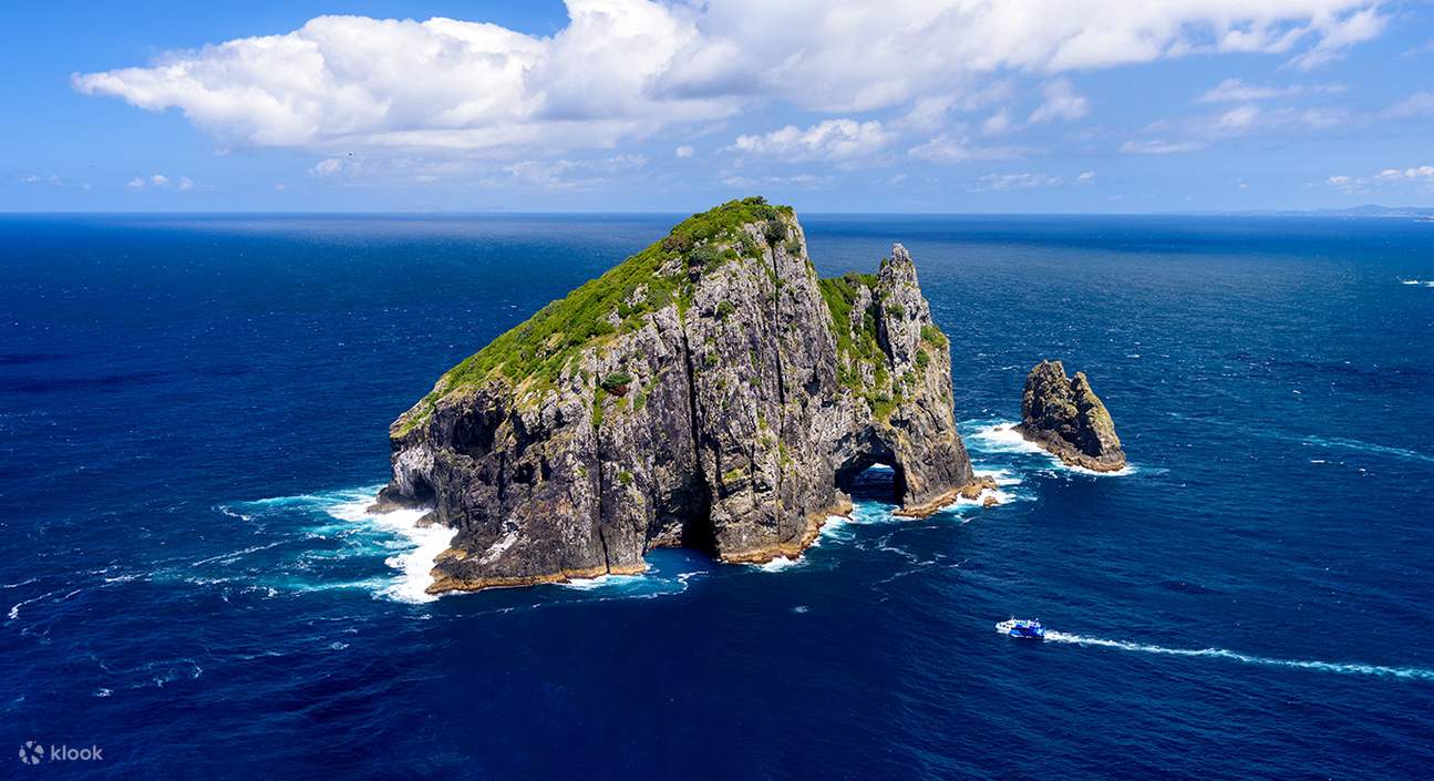 Bay of Islands Full Day Tour with Hole in the Rock Dolphin Cruise - Klook