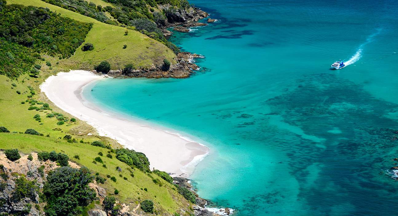 Bay of Islands Full Day Tour with Hole in the Rock Dolphin Cruise ...