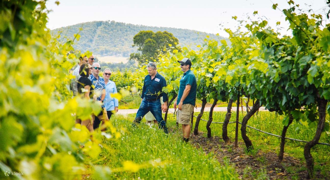 Hunter Valley Wine Tasting Day Tour from Hunter Valley - Klook Singapore