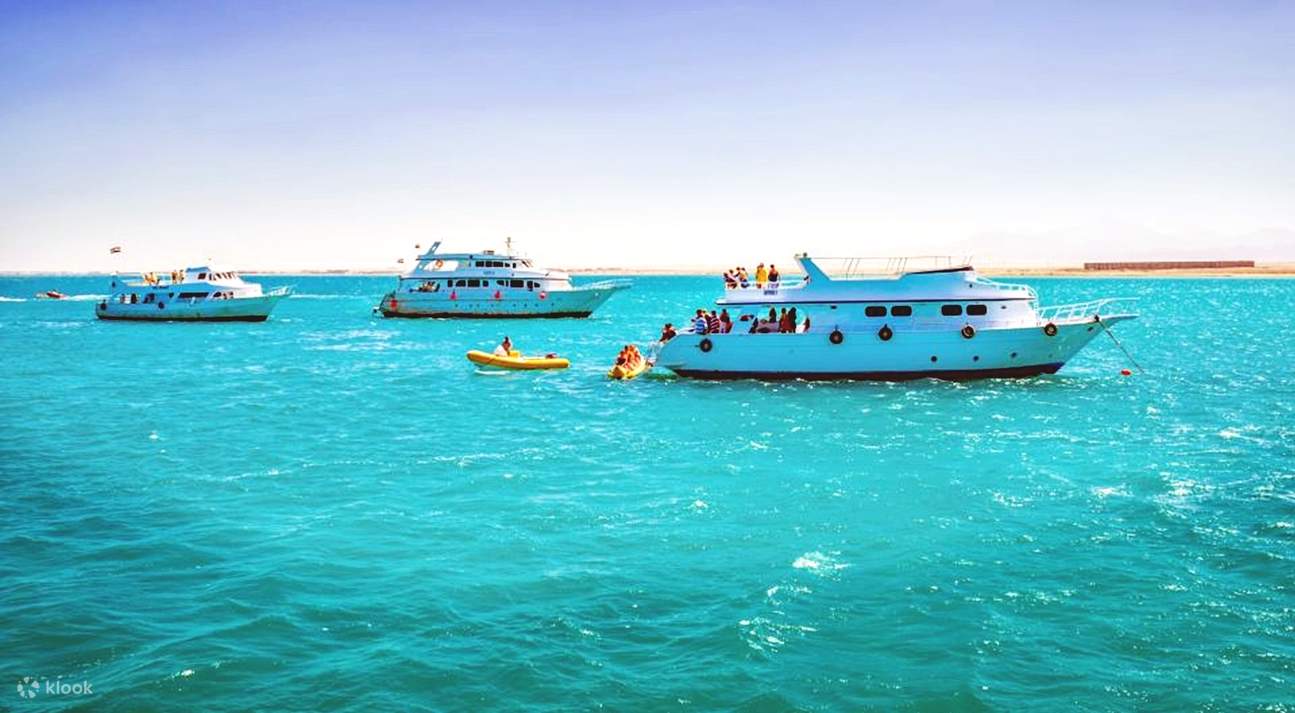 Explore the Red Sea: Dolphin Watching Boat Tour with Snorkeling & Lunch ...