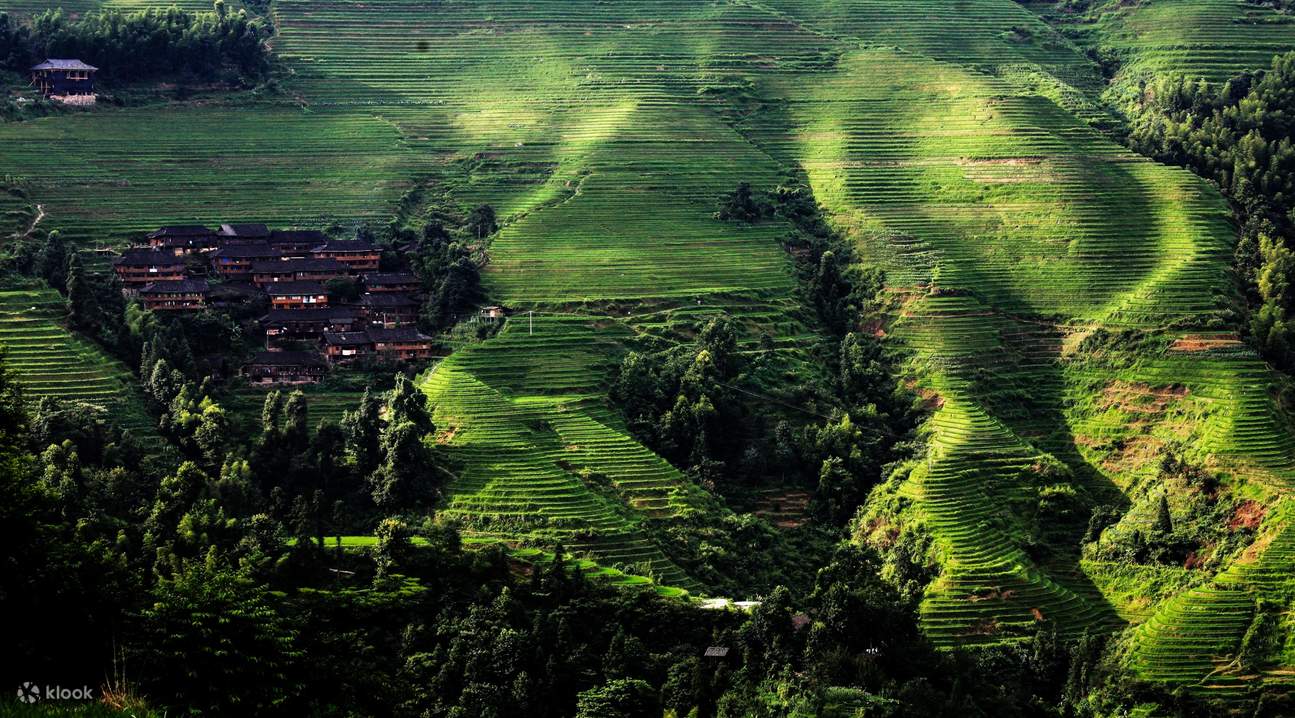 Guilin Longji Scenic Area + Huangluo Yao Village One-Day Tour (Jinkeng ...