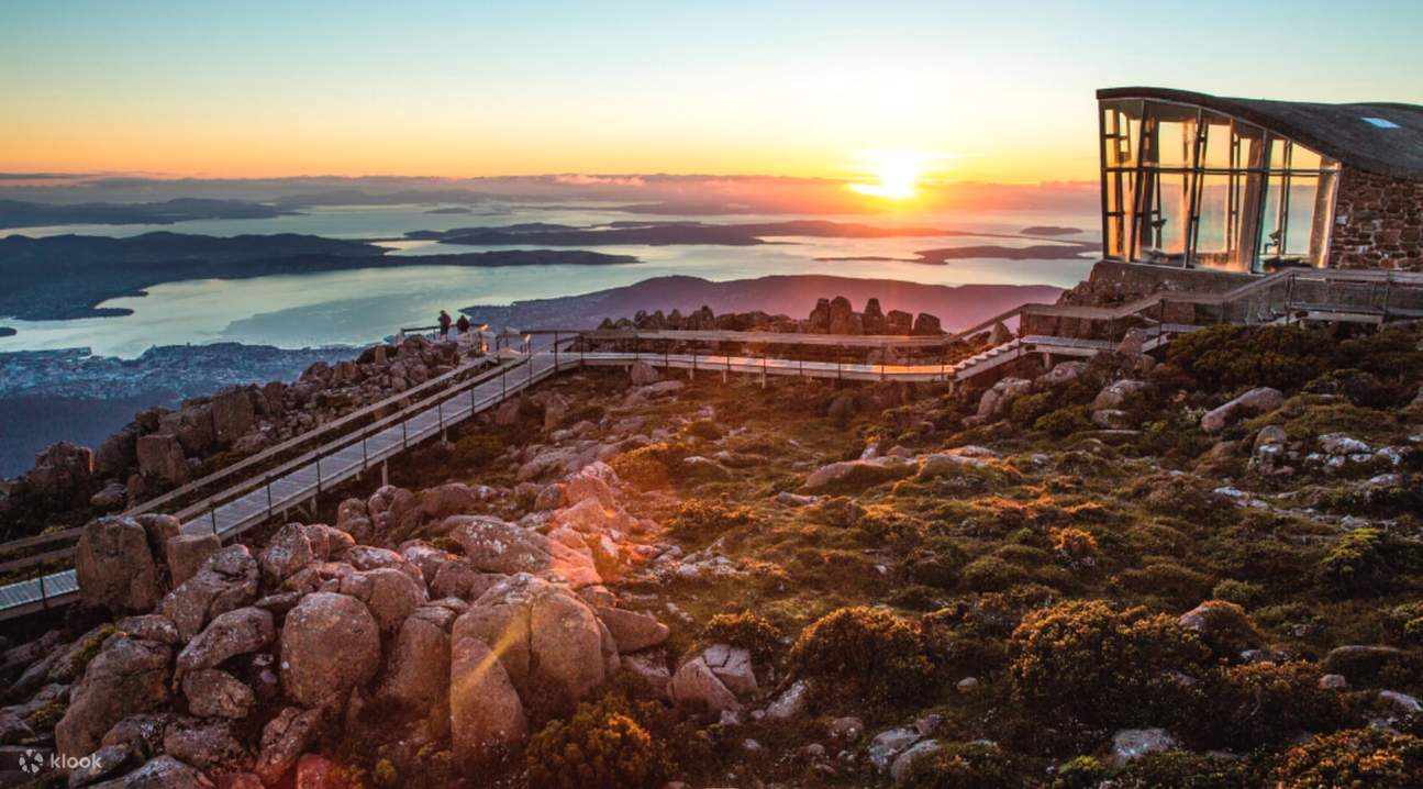 Mona Boat Cruise and Mt Wellington Morning Tour - Klook
