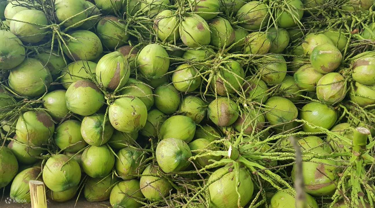 Coco Ready, Chiang Mai - Klook