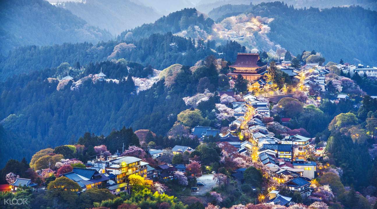 Kansai Thru Pass - Klook