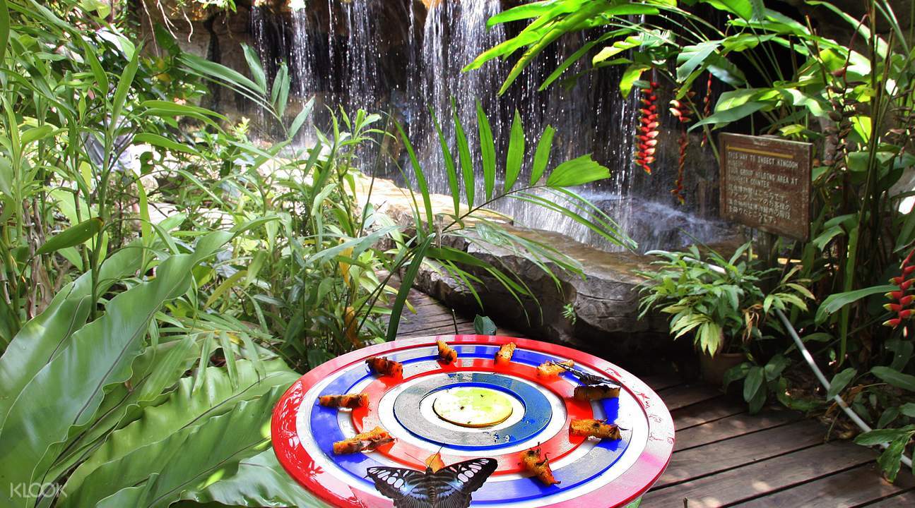 Butterfly Park and Insect Kingdom