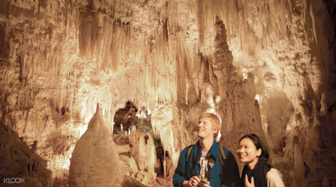 [SALE] Explore the Enchanting Aranui Cave - Ticket KD