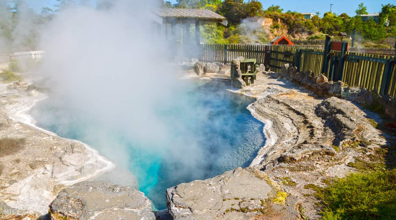 [SALE] Explore Whakarewarewa: The Living Geothermal Maori Village ...