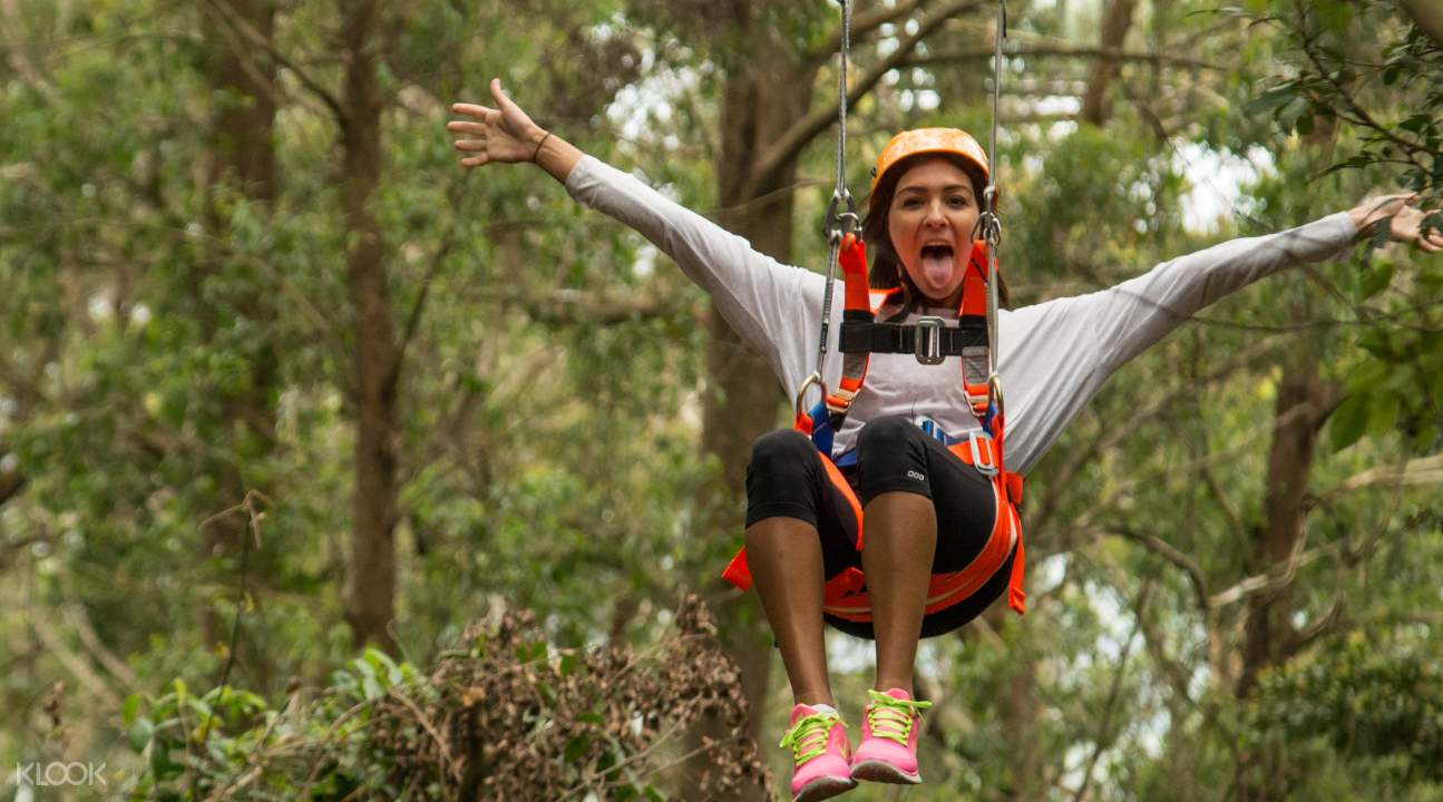 [SALE] Experience the Thrill of Illawarra Fly's Zipline Adventure ...
