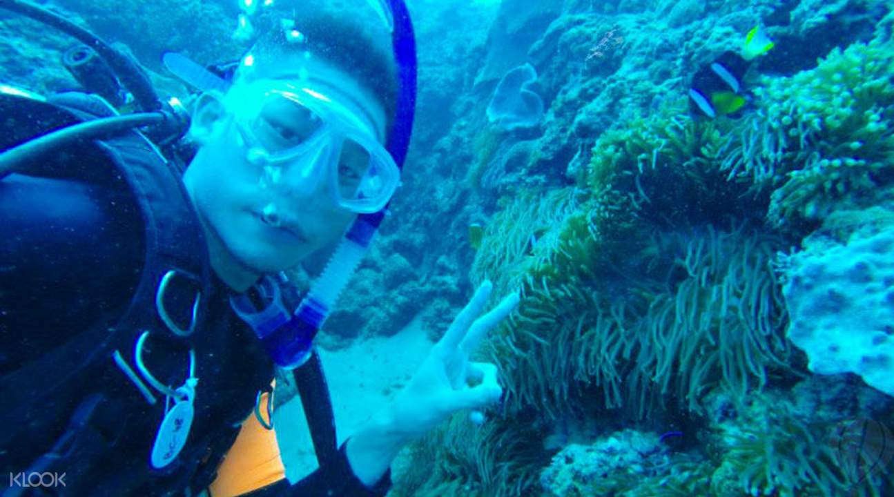 [SALE] Kenting Shore Diving Experience - Ticket KD