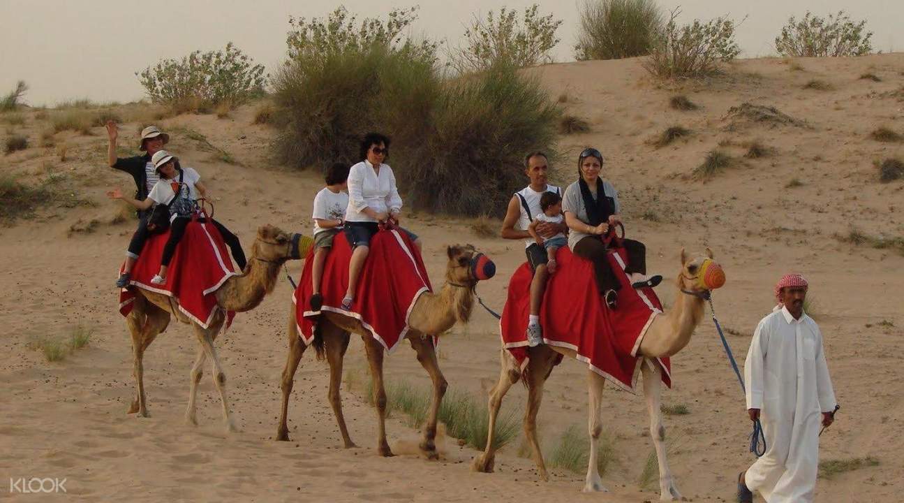 Up to 30% Off | Evening Desert Safari with BBQ Dinner, Tanoura & Belly ...