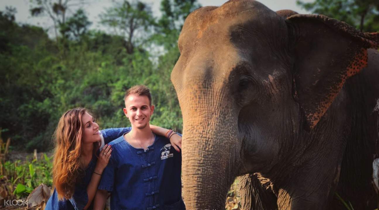 Elephant Day Care at Chiang Mai Mountain Sanctuary - Klook