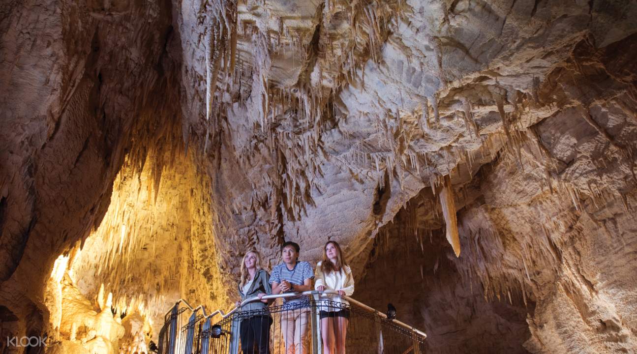 [SALE] Explore the Majestic Ruakuri Cave Tour - Ticket KD