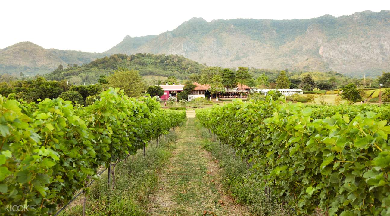 Khao Yai PB Valley and Primo Plaza Day Tour by AK Travel