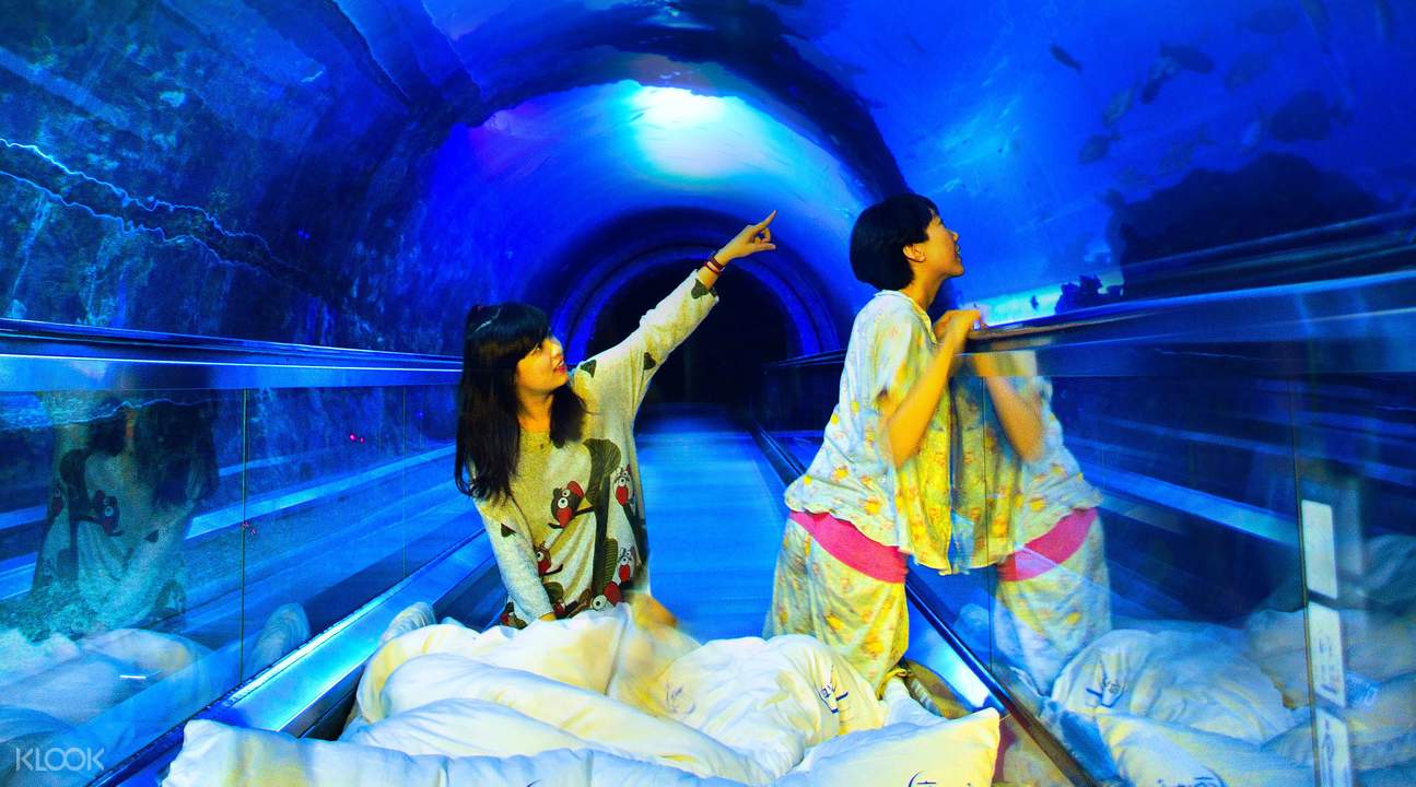 【國立海洋生物博物館】感受不同於白天的趣味！屏東海生館夜宿體驗 Klook客路 台灣