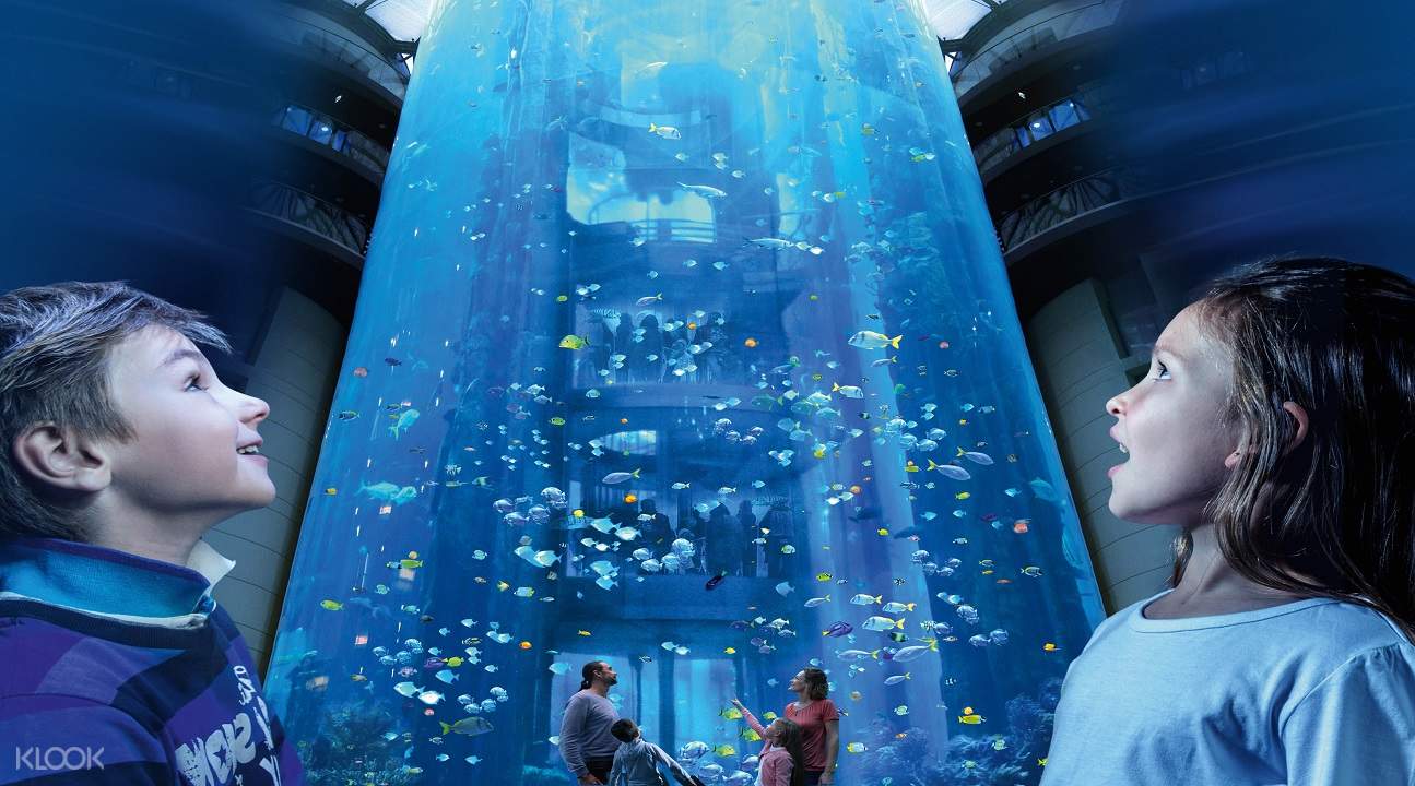 [SALE] AquaDom and SEA LIFE Ticket in Berlin - Ticket KD