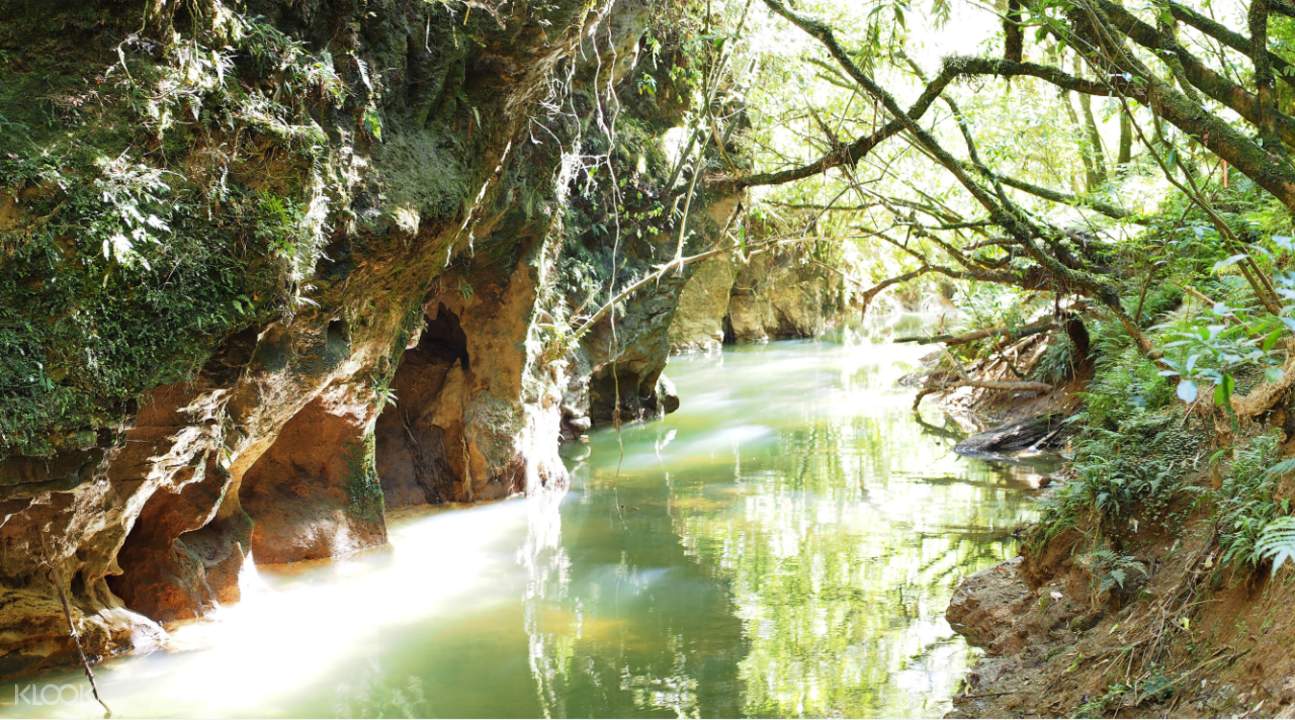 [SALE] Discover the Enchanting Waitomo Glowworm Caves - Ticket KD