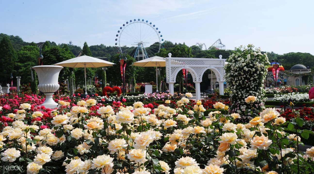 Everland Korea Theme Park Tickets (One Day Pass) - Klook