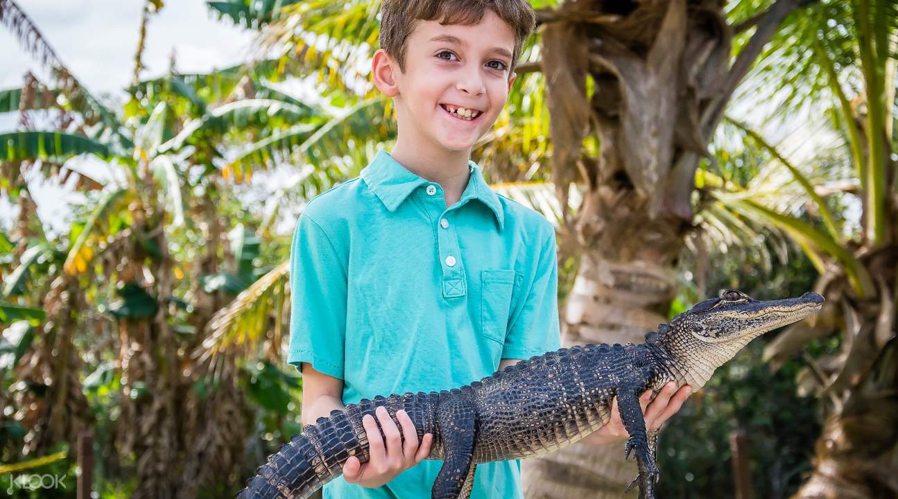 [SALE] Admission to Everglades Safari Park with Airboat Adventure ...