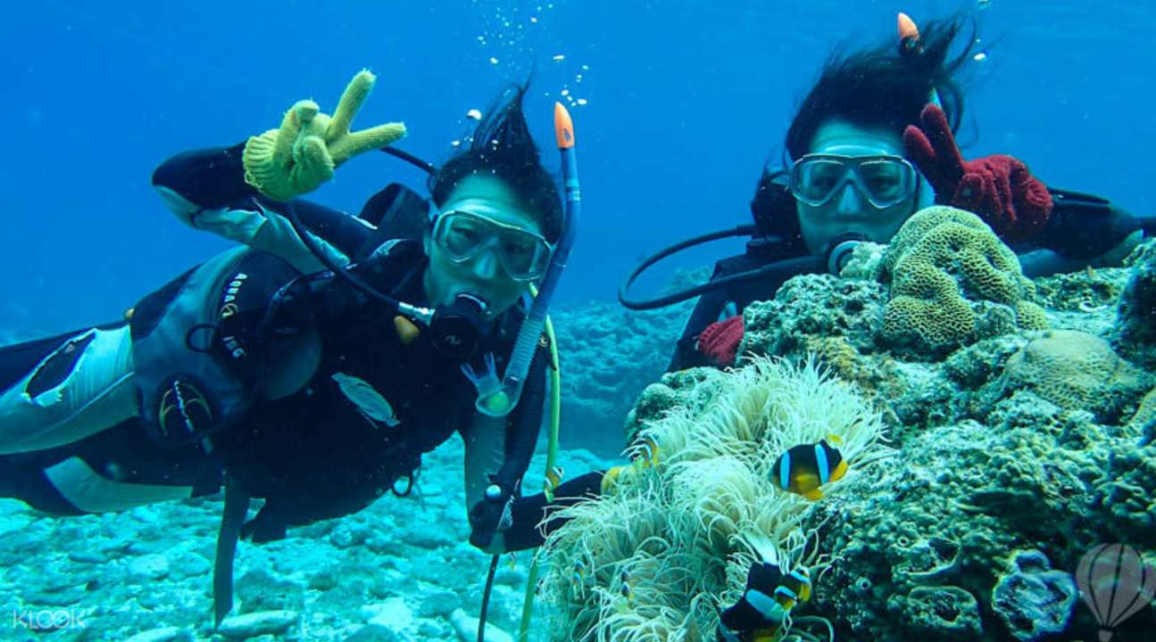 [SALE] Explore the Underwater Wonders of Aka Island - Ticket KD