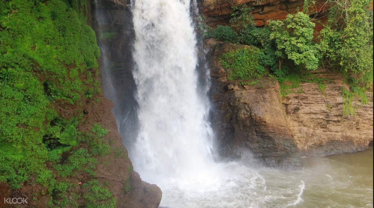 Harvalem Waterfalls and Rudreshwar Temple Day Tour in Goa, India