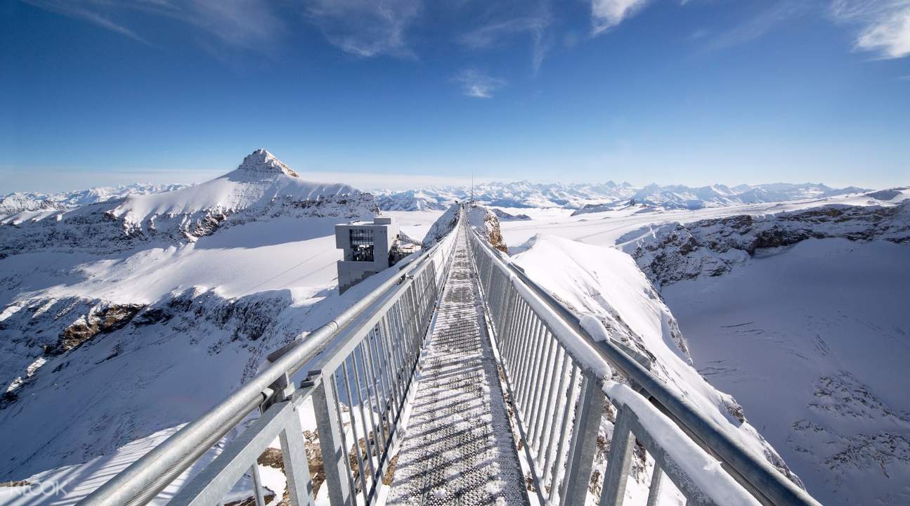 Glacier 3000 and Montreux Day Tour from Geneva