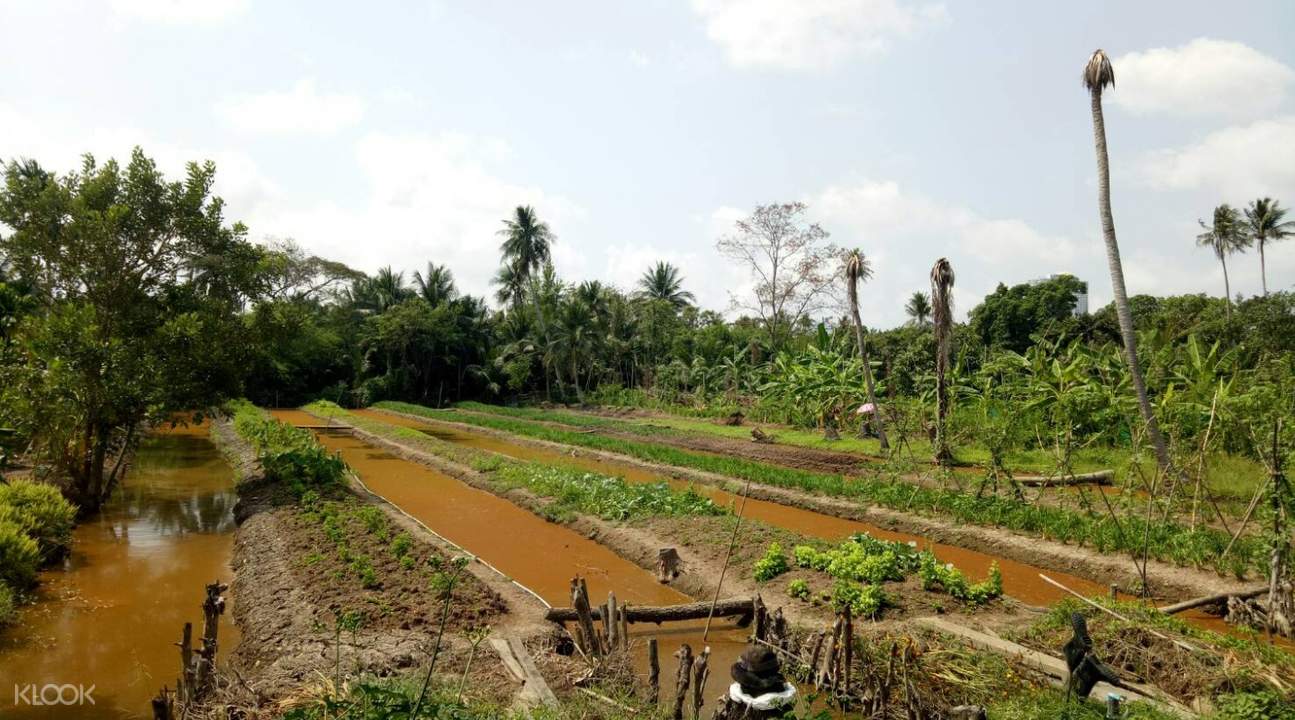 [SALE] Explore Bangkok's Green Lung with a Jungle Bike Tour - Ticket KD