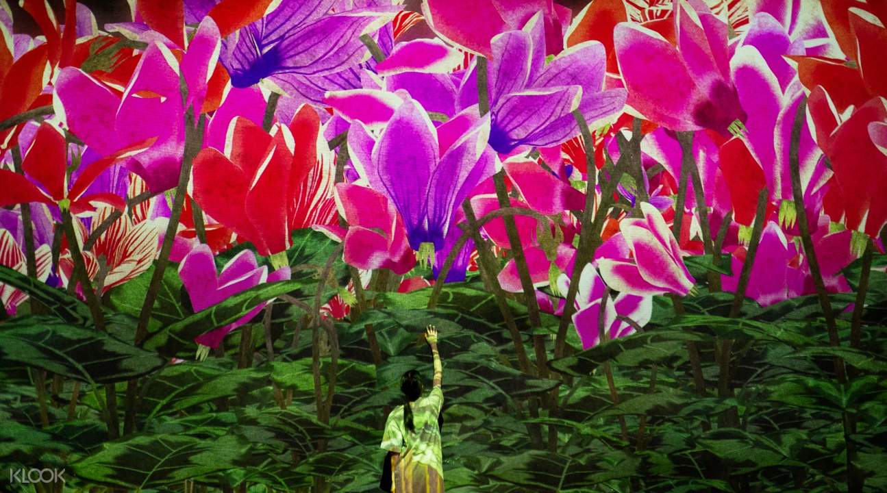 teamLab Borderless Entrance Pass in Tokyo, Japan - Klook