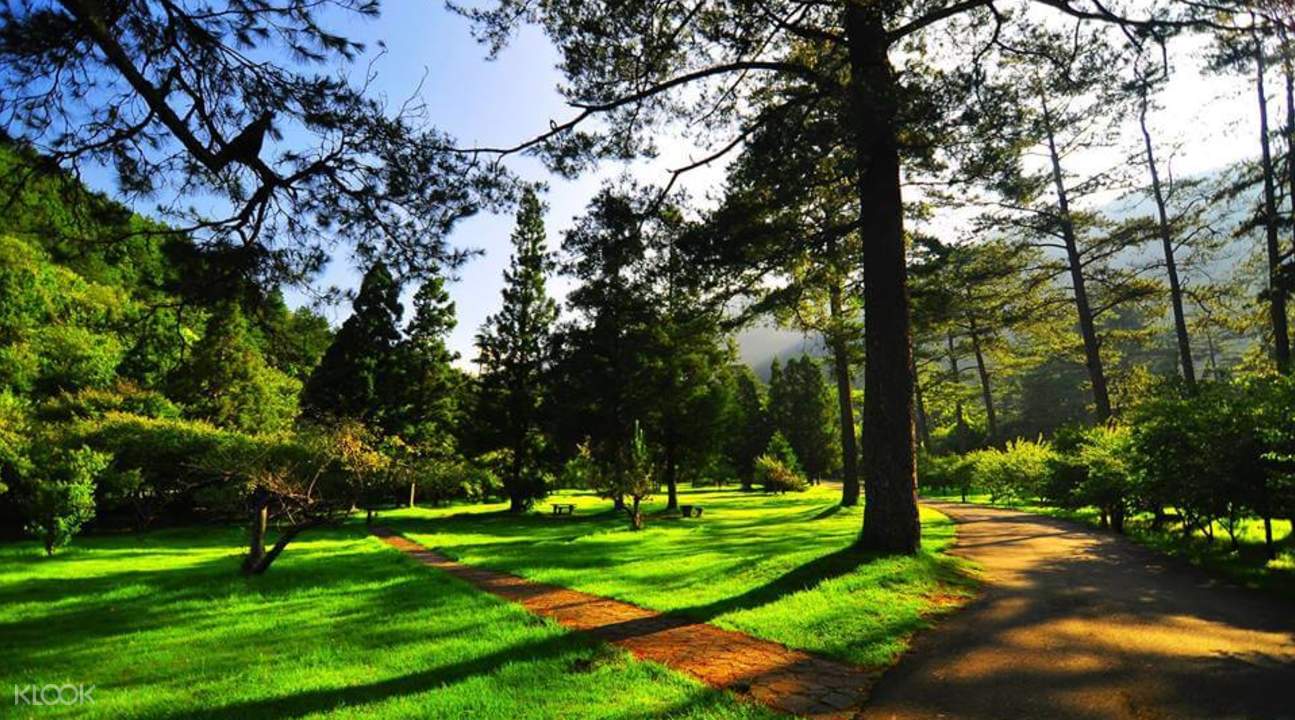 Wuling Farm Day Tour from Taipei, Taiwan