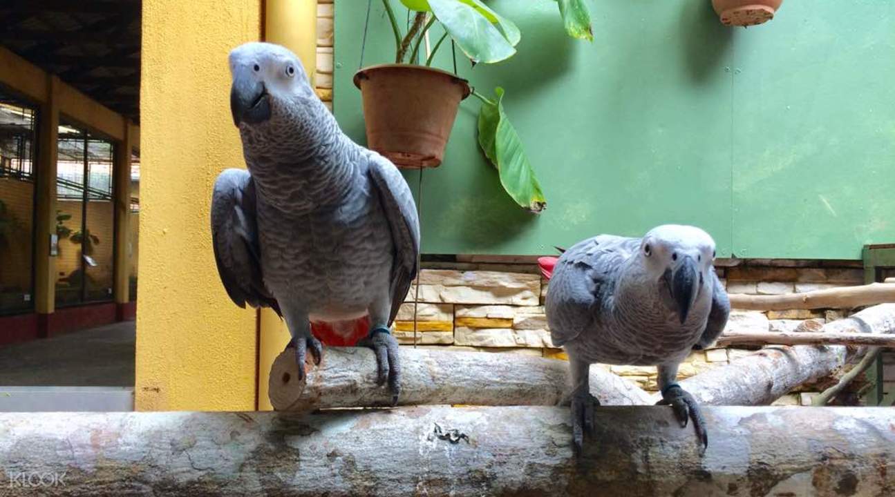 Langkawi Wildlife Park Admission Ticket in Malaysia