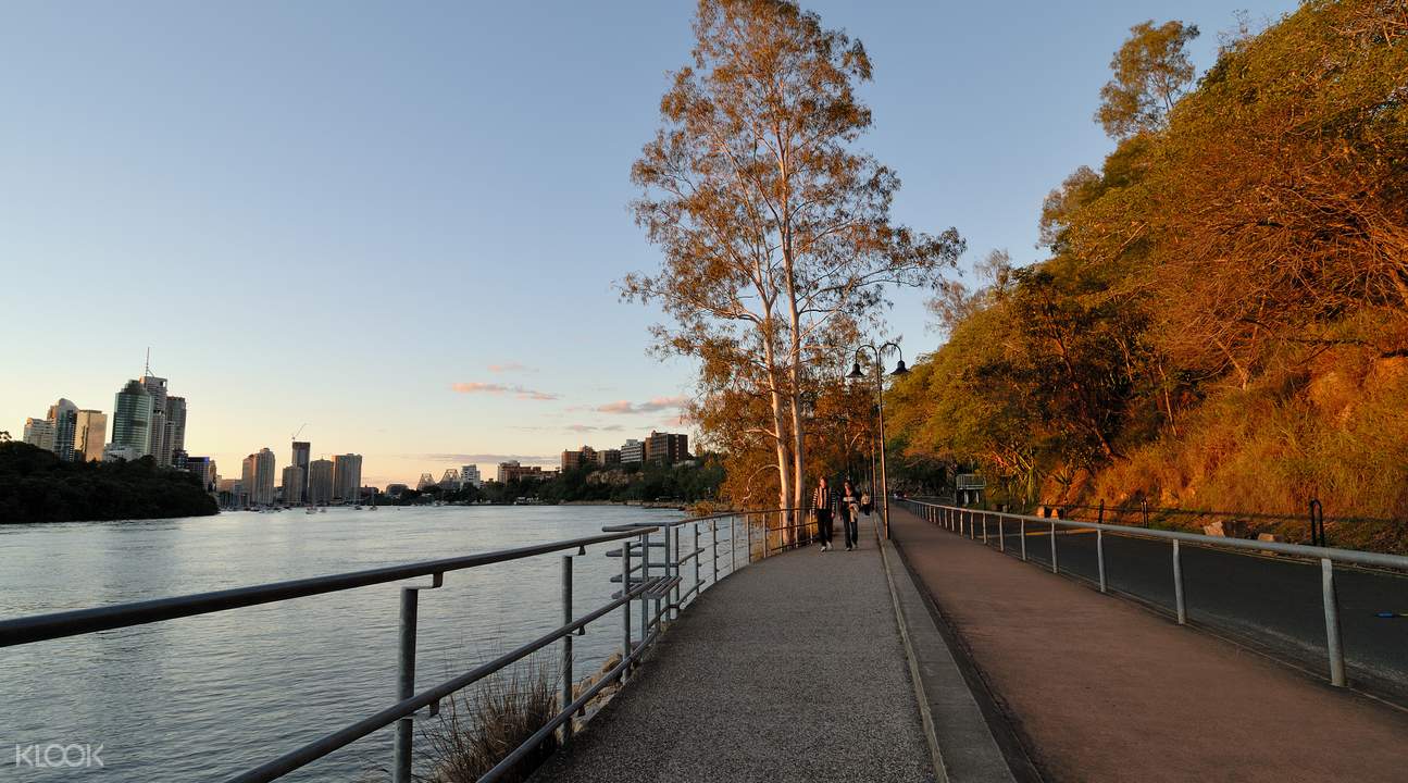 [SALE] Brisbane's Thrilling Abseiling Adventure at Kangaroo Point ...