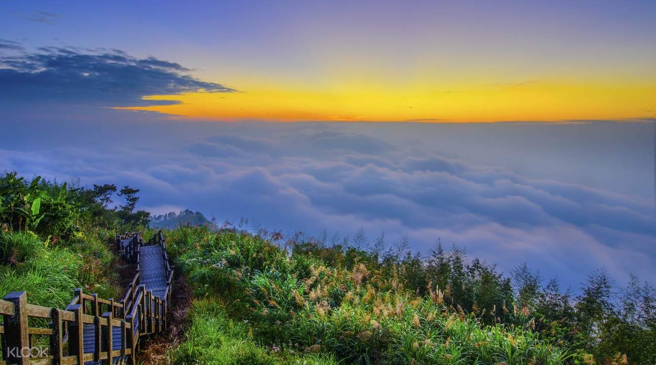 Discover Alishan Mountain - Klook