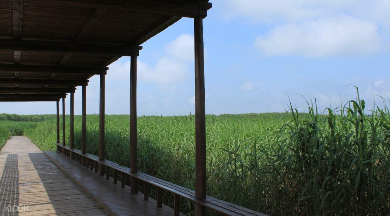 Chongming Island Whole Day Cycling Tour from Shanghai, China