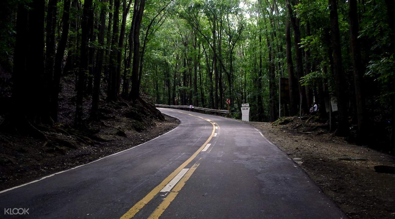 Up to 15% Off | Bohol Countryside Tour - Klook Philippines