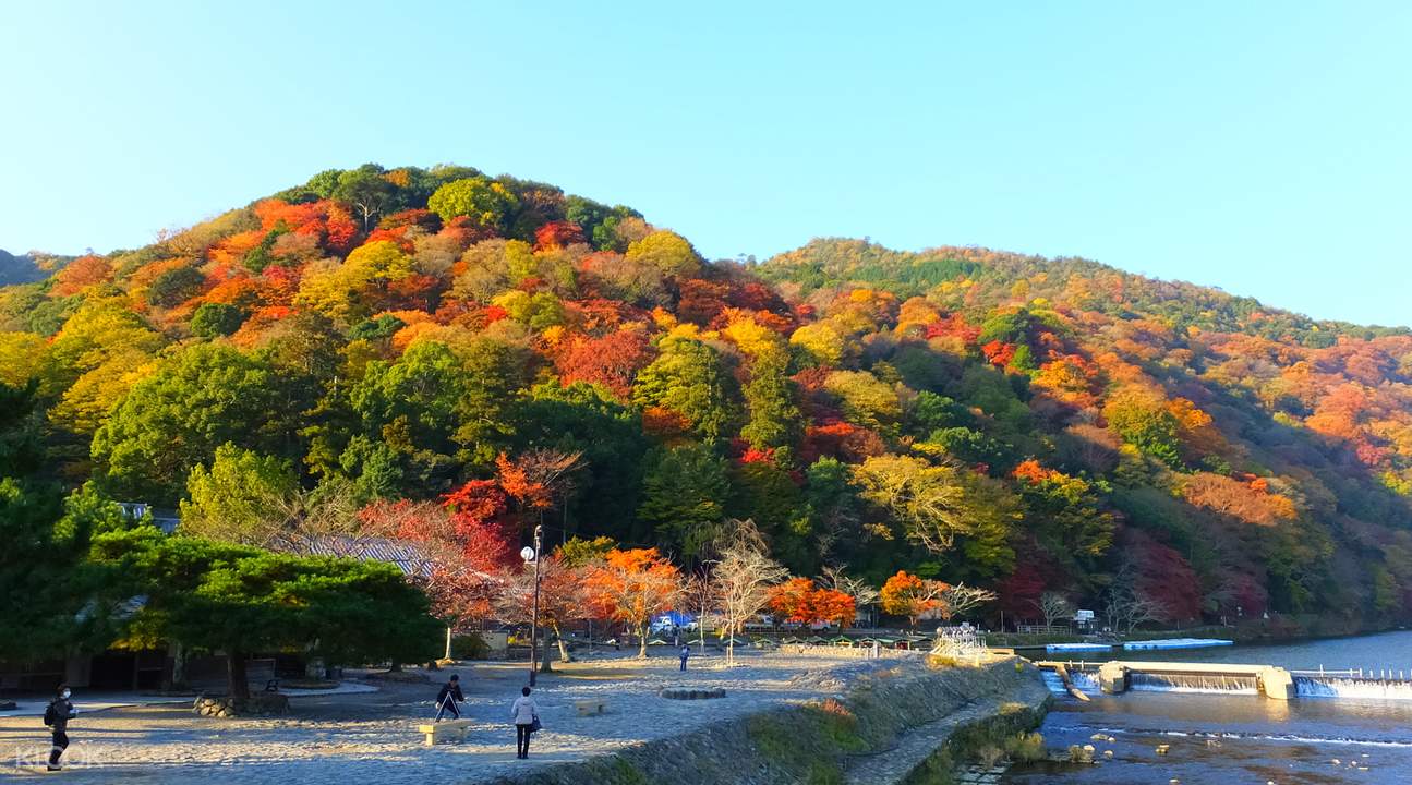 生活達人 Klook客路 京都自由行 嵐山景區深度一日遊 日本旅遊 觀光列車泛舟漂流自由活動多角度深度遊玩嵐山景區