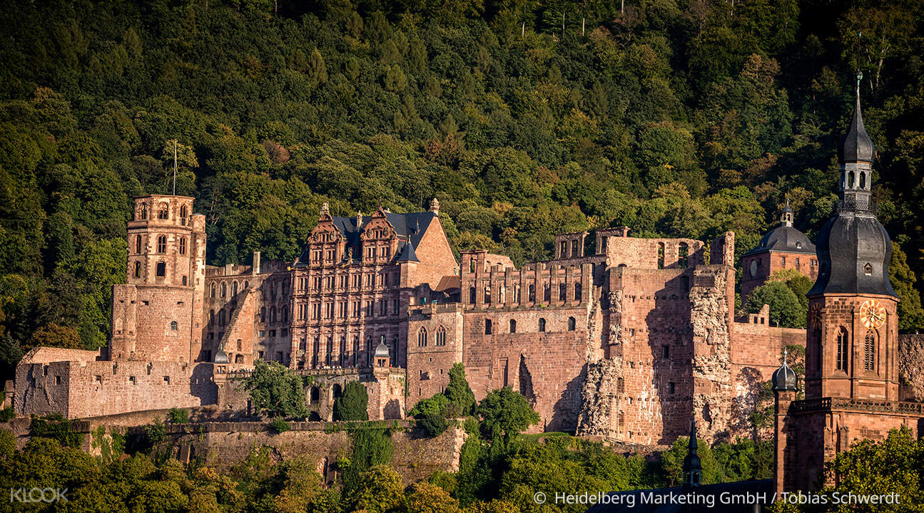 Heidelberg Card with Heidelberg Castle Ticket